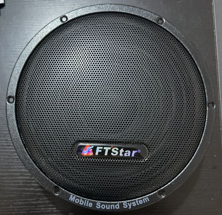 FT STAR Videoke Speaker 10 inch Hi-Fi SubWoofer Speaker 300 Watts (KW ...