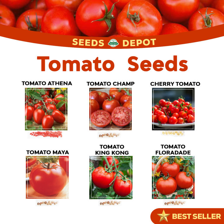 Tomato Seeds - Cherry Athena Roma Champ KingKong Pink Diamond Floradade ...