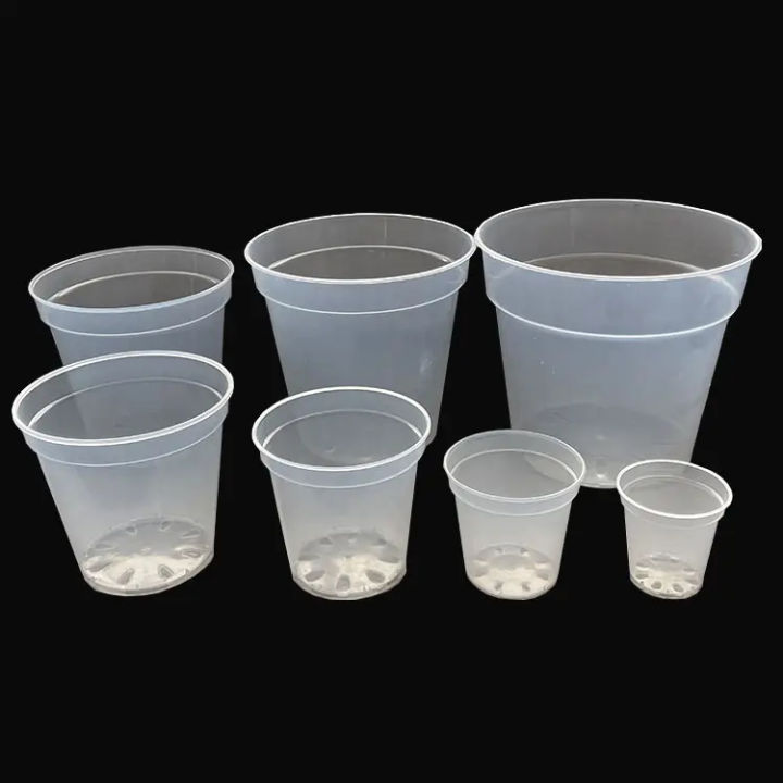 Orchid Pot Clear Plastic 1 Piece | Lazada PH