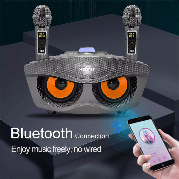 SD306 Plus With 2 Wireless Microphones Outdoor Family KTV Stereo Mic Big Sound 30W PK SDRD Sd ...