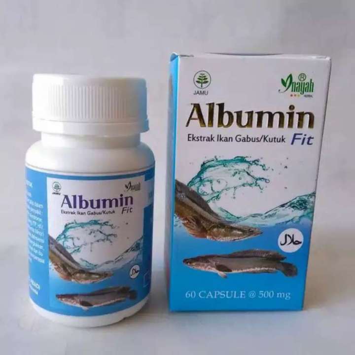 KAPSUL KUTUK inayah Ekstrak Albumin Ikan Gabus Obat Pasca Operasi ...
