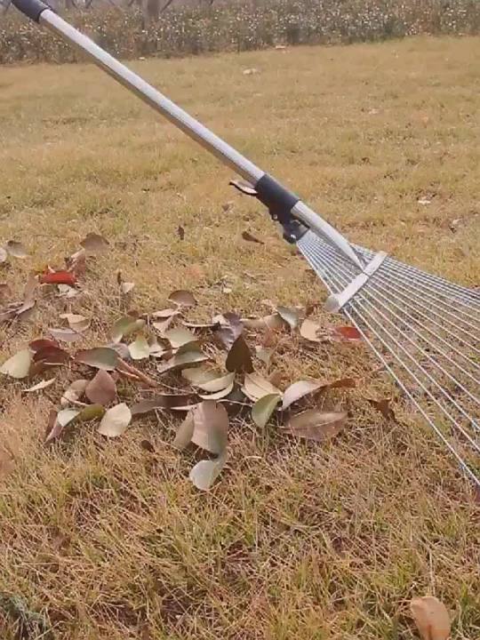 Stainless steel retractable leaf rake 15 teeth grass rake garden wire ...
