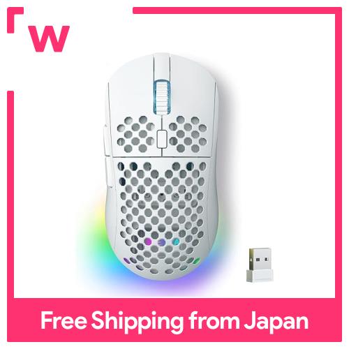 DIERYA Falcon M1 Wireless Gaming Mouse Wireless 24000DPI 180 hours of ...