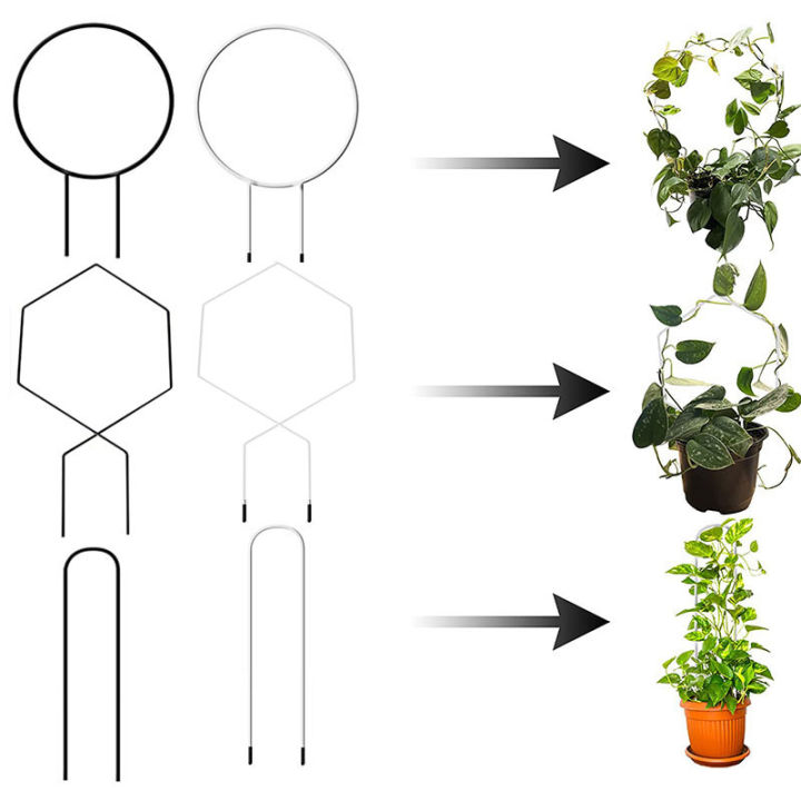 [GOOD] Iron Climbing Vine Climbing Frame Stephania Erecta Flower Pot ...