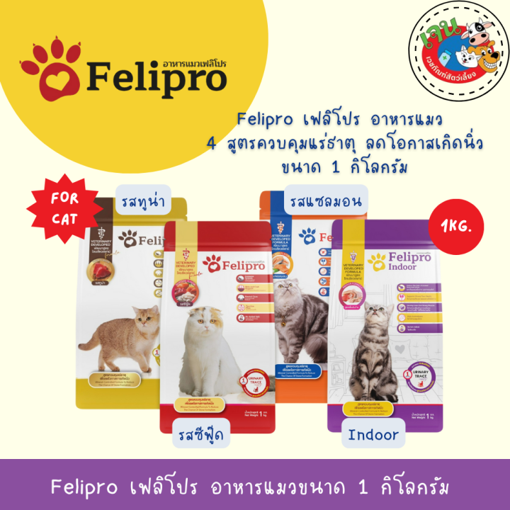 Felipro เฟลิโปร อาหารแมว ป้องกันนิ่ว บำรุงขนสวย ขนาด 1 กิโลกรัม ...