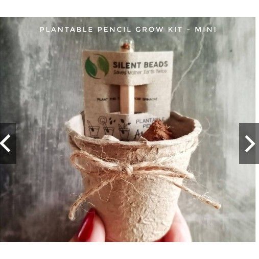 Plantable Pencil Grow Kit - Mini 20 PIECES | Lazada PH