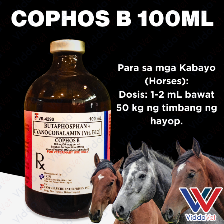 Supplement for All Types of Animals Cophos B 100ml for animals viddavet ...