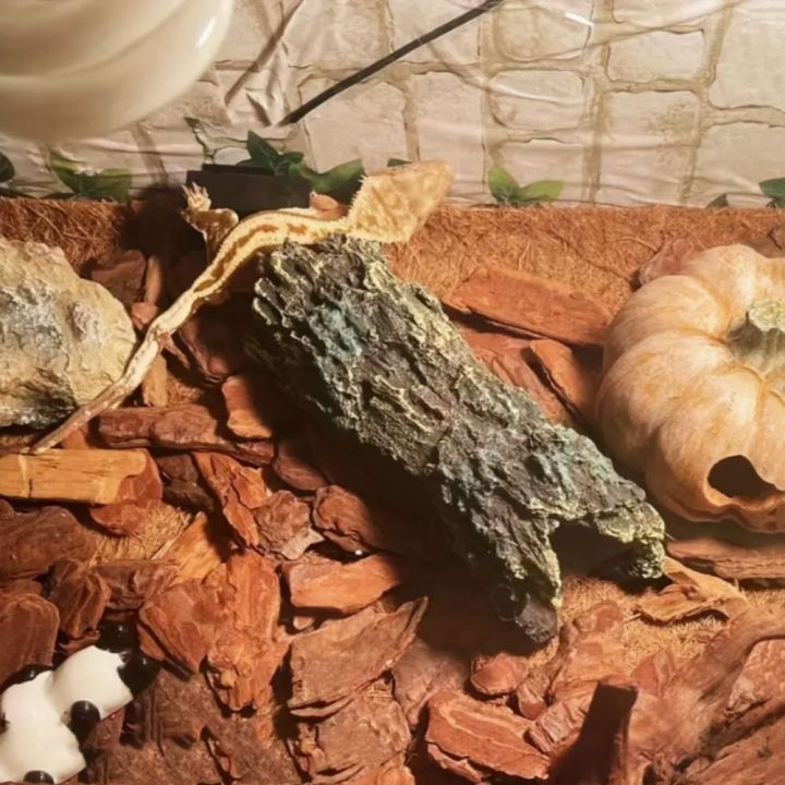 CARING PETS Resin Lizard Hideout Cave Simulation Decorative Reptile Log ...