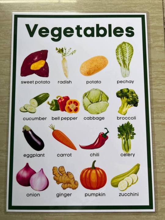 Educational learning materials for kids Laminated A4 Size Chart FRUITS ...