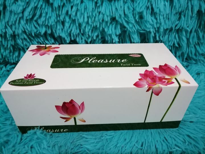 Pleasure Facial Tissue, 2ply, 200pulls, 400sheets, 200mm X 200mm ...