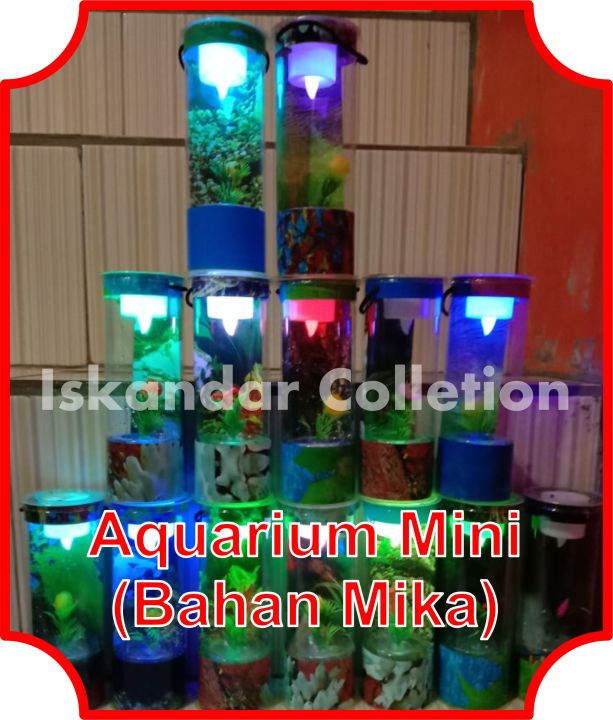 Aquarium Mini / Aquarium Cupang (Bahan Mika) | Lazada Indonesia