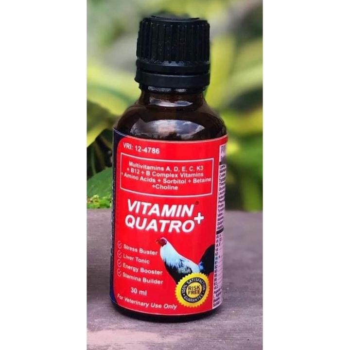 Vitamin Quatro Plus | Lazada PH