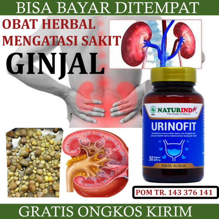 Obat Ginjal Ampuh, Obat Herbal Sakit Ginjal, Batu Ginjal, Gagal Ginjal, Infeksi Ginjal, Obat ...