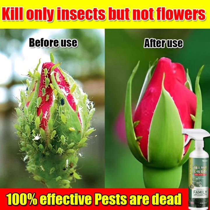 Flower insecticide Spray Aphids Mites Thrips insecticide Pesticides for ...