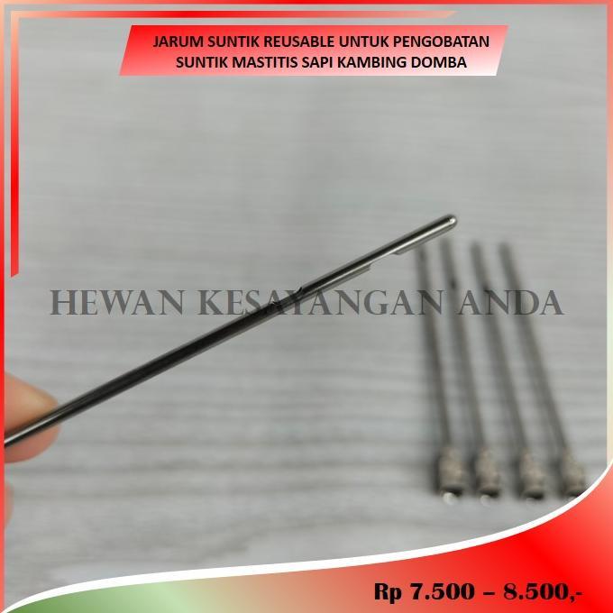 Jarum Suntik Tumpul Reusable Untuk Pengobatan Suntik Mastitis Ambing ...