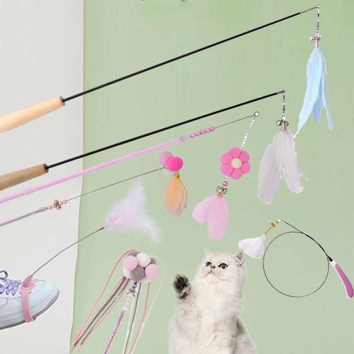 Retractable Cat Wand Toy for Indoor Cats Interactive Cat Feather Toy ...