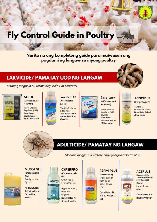 Fly Control Program | Lazada PH