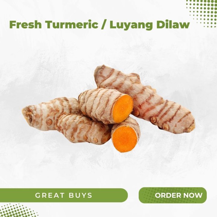 Fresh Local Turmeric Luyang Dilaw | Lazada PH