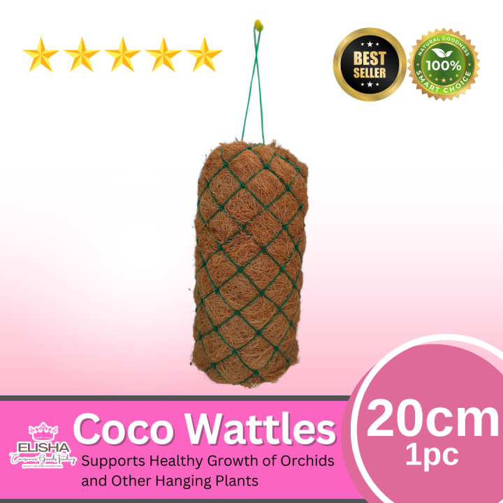 ECGT | 20CM COCO WATTLES Coco Fiber Wattle for Orchids and Hanging ...
