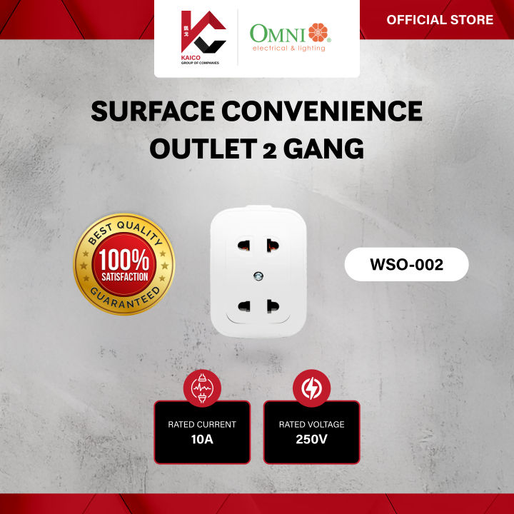Omni Surface Duplex Convenience Outlet 2 Gang 10A 250V~ WSO-002 | Lazada PH