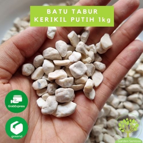 Batu Tabur Krikil Putih Tanaman Hias Ukuran Kecil Bisa Untuk aquascape Isi 1Kg & 8 Kg | Lazada ...