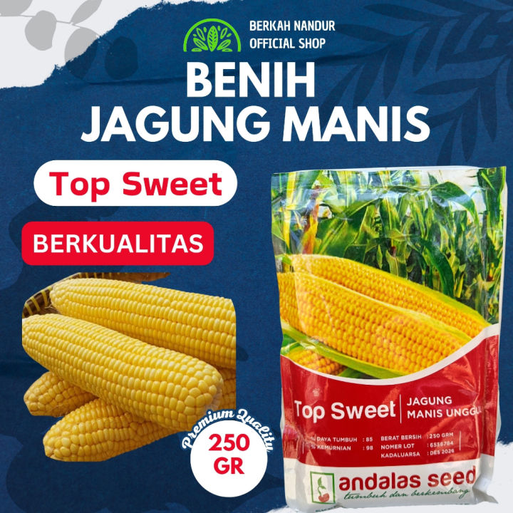Benih Jagung Manis TOP SWEET 1750 Biji 250 gr Kemasan Pabrik | Lazada ...