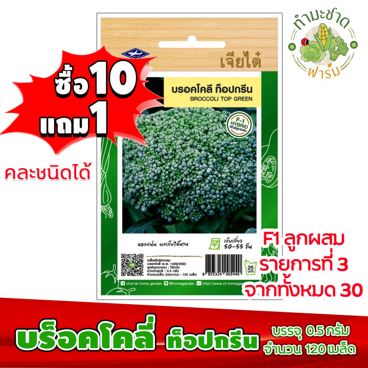 (ซื้อ10แถม1) เมล็ดพันธุ์ บร็อคโคลี่ ท็อปกรีน Broccoli top green ประมาณ ...