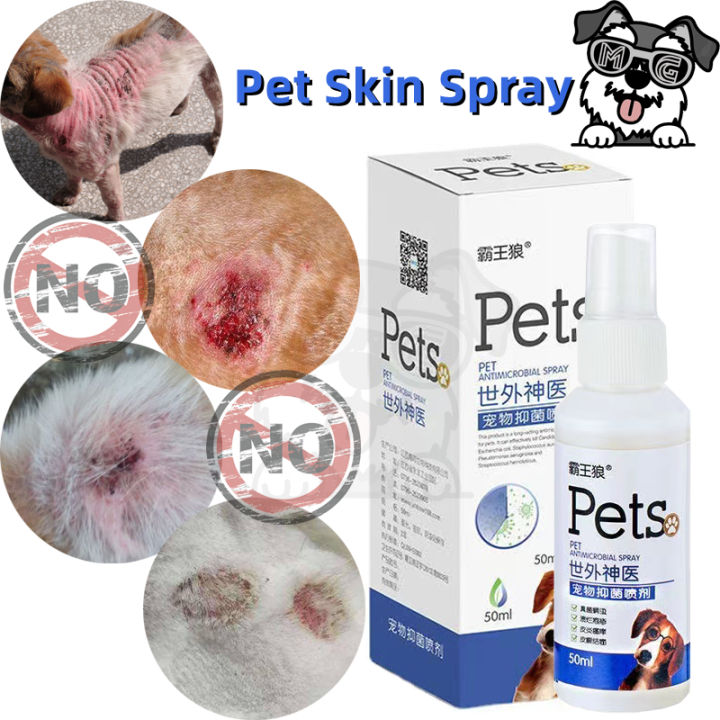 Pet Skin Treatment for Dogs Pet Skin Spray Anti Fungal Spray Cat Moss ...