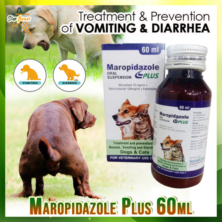 Maropidazole Plus Pet SYRUP Treatment for VOMITING & DIARRHEA of Dog ...
