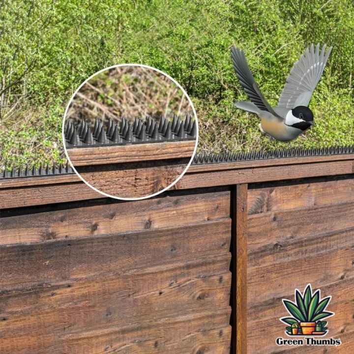 Bird Repellent Spikes Anti Bird Cat Spikes Poultry Deterrent Spikes ...