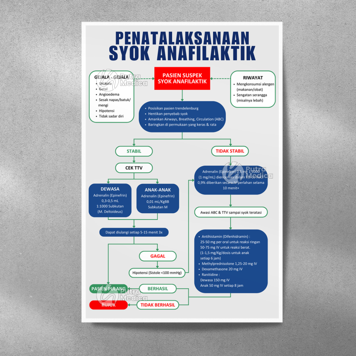 Poster Kesehatan Penatalaksanaan Syok Anafilaktik A3+ / Gambar Edukasi ...