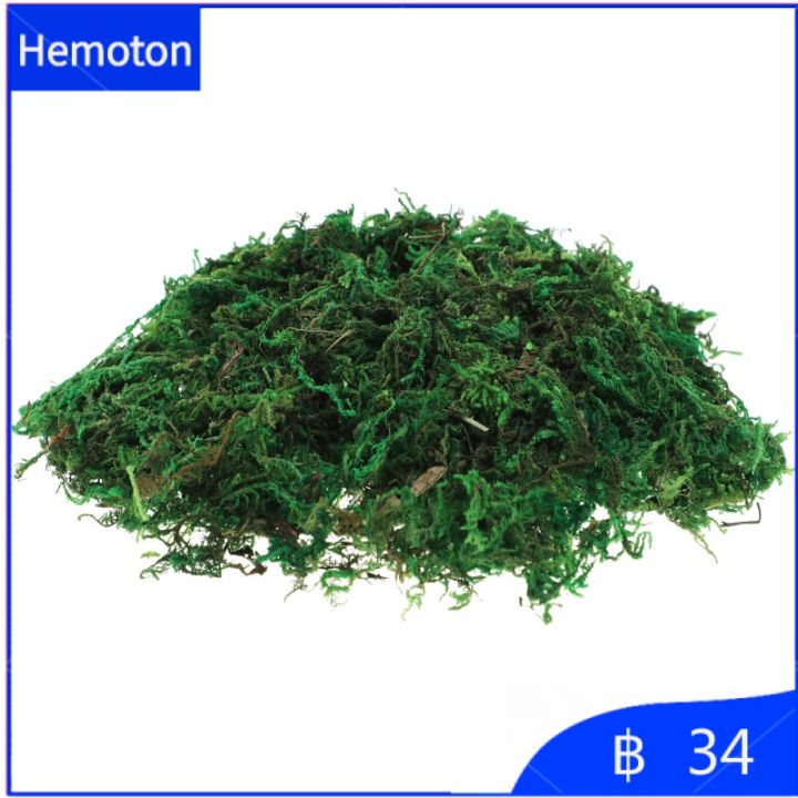 Hemoton 1แพ็คพืชมอสจำลองมอสสำหรับแขวนตะกร้ามอสแช่เย็นตะไคร่น้ำแห้งดอก ...