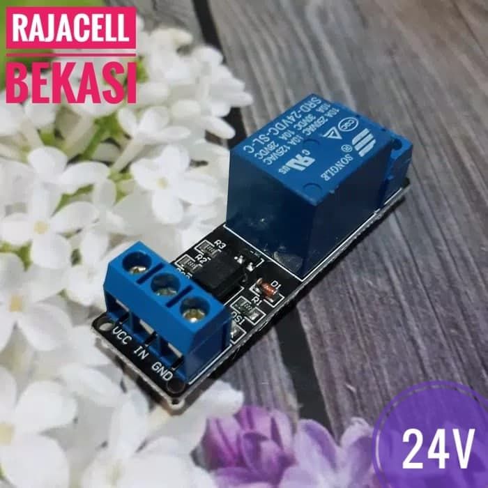 Relay Module 1 Ch 24V DC Low Level Trigger +Optocoupler High Quality ...