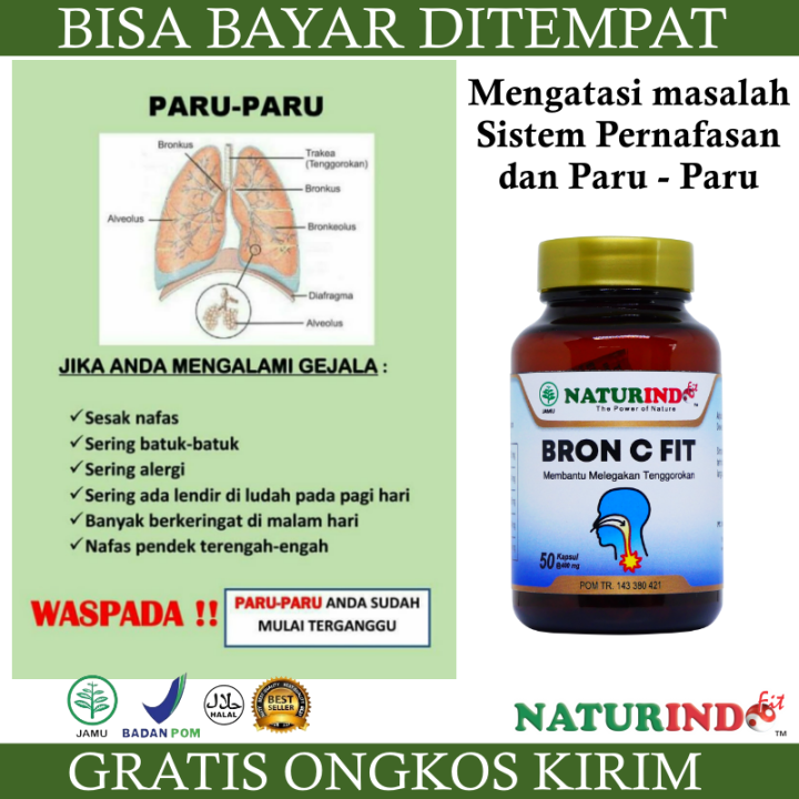 Kapsul Herbal Gurah - Atasi Batuk Berdahak, Gangguan Pernapasan, Tidur ...