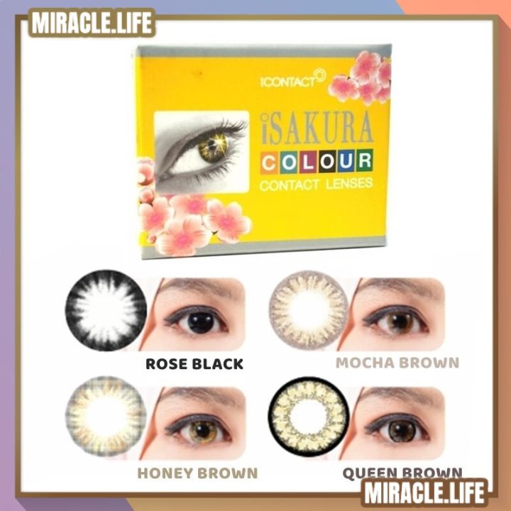 ICONTACT Isakura Monthly Disposable Color Lens Contact Lenses (2 PCS ...