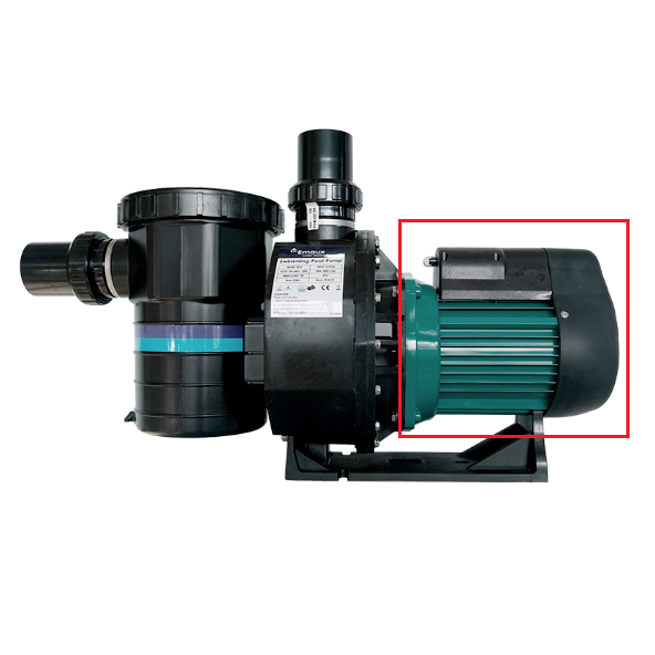 Emaux SB ปั๊ม มอเตอร์ 2แรง SB20 (เฉพาะมอเตอร์) | Lazada.co.th