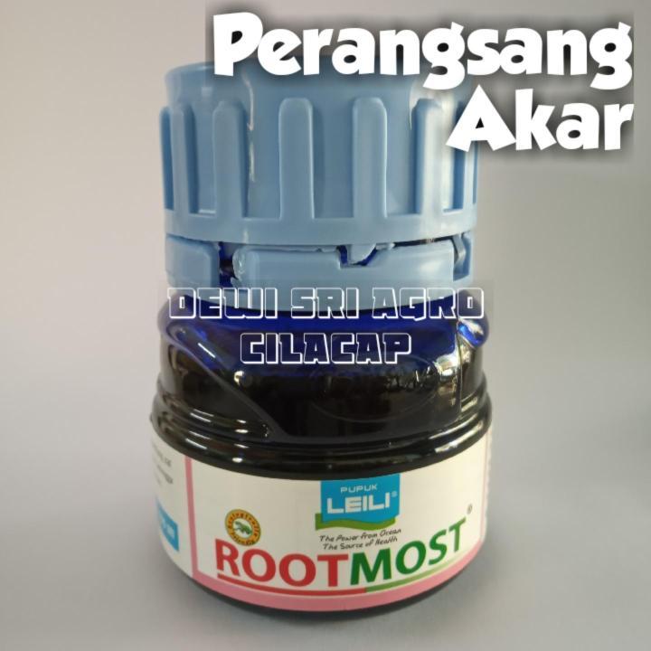 Perangsang Akar Tanaman Rootmost 100 ml | Lazada Indonesia