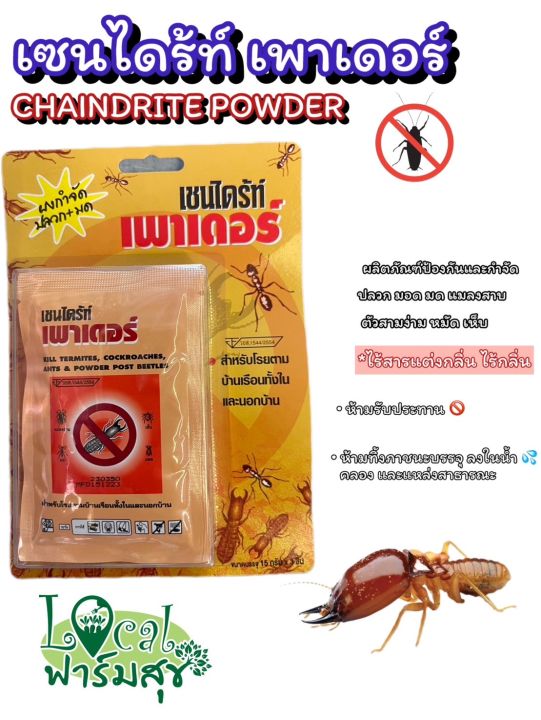 เชนไดร้ท์เพาเดอร์ ผงกำจัดปลวก Chaindrite powder ใช้สำหรับป้องกัน กำจัด ...