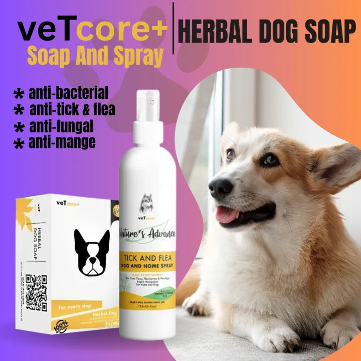 VeTCore Plus Herbal Dog Soap 120grams Soap and Spray | Lazada PH