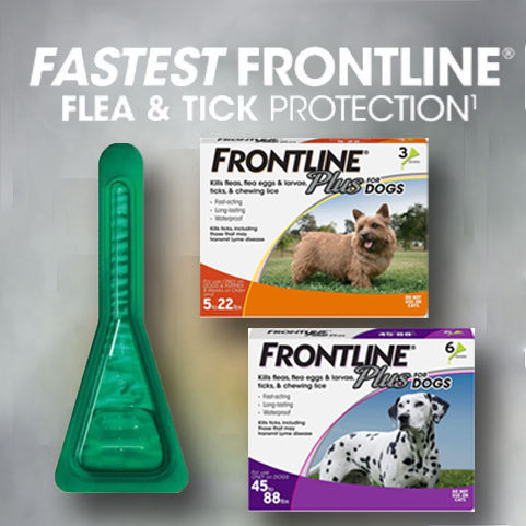 FRONTLINE Plus Flea & Tick Treatment for Dogs (Per Vial) Repellent Anti ...