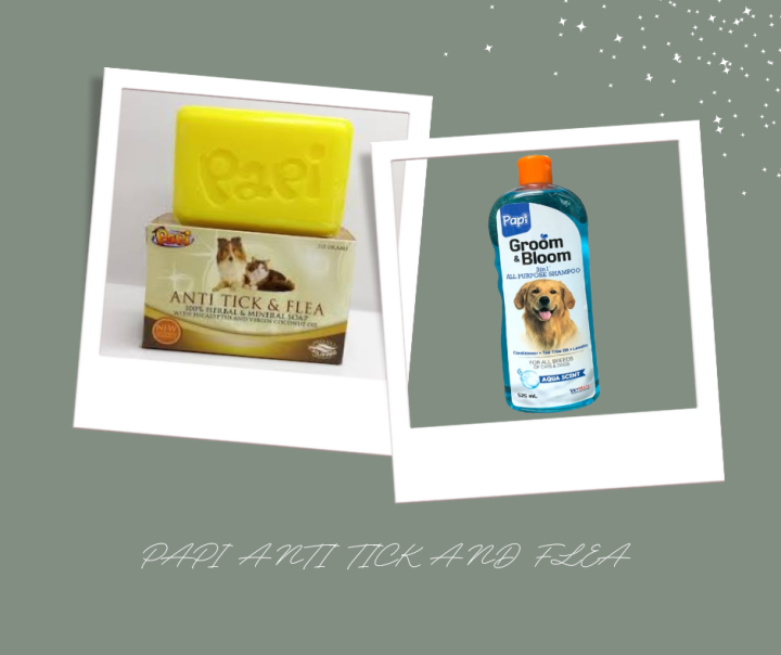 [VETKLIX] PAPI ANTI TICK&FLEA SOAP 115g and G&B 3in1 ALL PURPOSE ...
