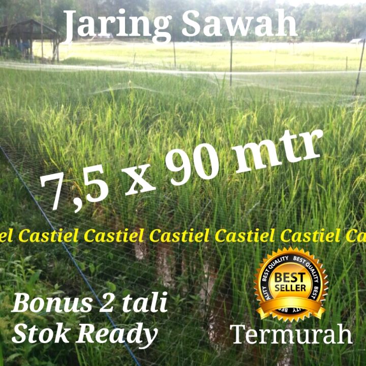 TERMURAH jaring burung, jaring padi, lubang 3 inci bonus 2 tali untuk ...