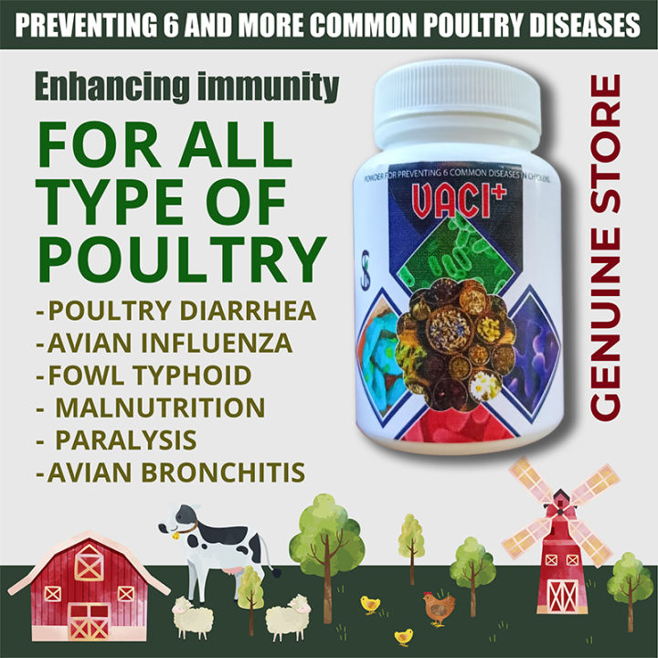 VACI (100Grams) - Poultry Immunity Booster, Preventing 6 Common Chicken ...