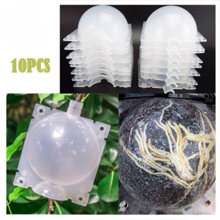 10PCS Marcotting Ball Transparent High Pressure Plant Box Grafting Ball ...
