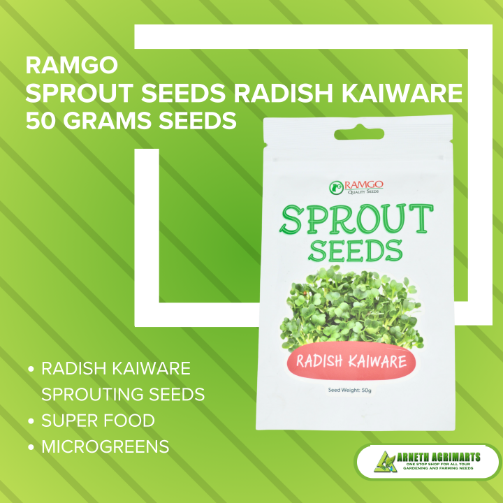 RAMGO SPROUT RADISH KAIWARE SEEDS 50 GRAMS PACK | Lazada PH