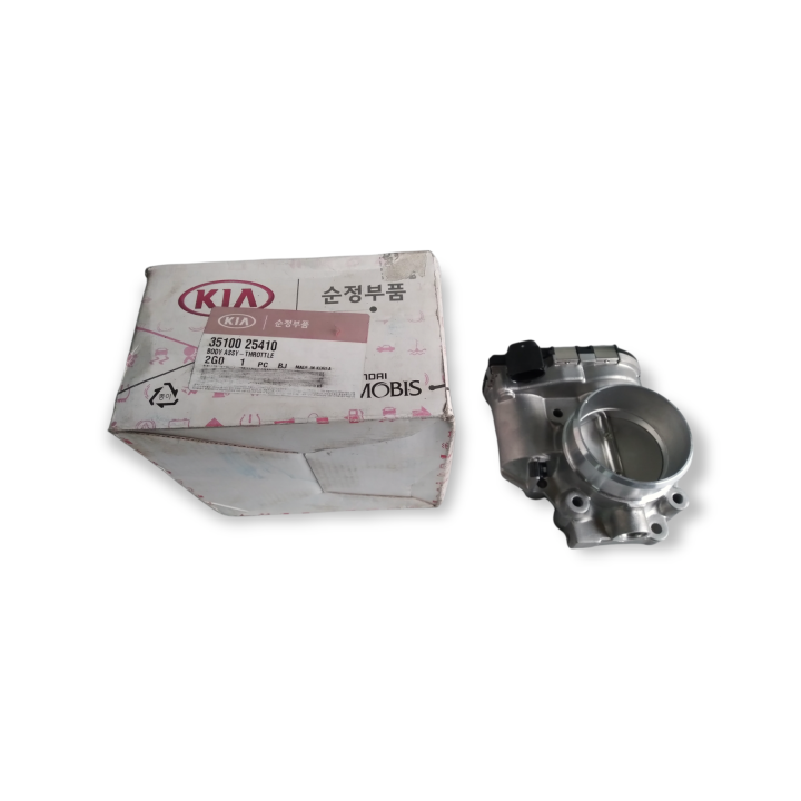 3510025410 THROTTLE BODY HYUNDAI SANTA FE 2009-2012 / HYUNDAI TUCSON ...