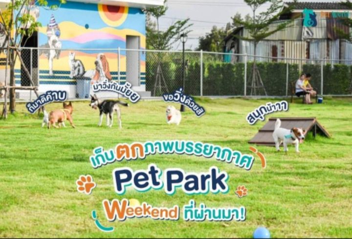 Pet Park ค่าบริการเข้าสวนน้องหมา1ตัว ผู้ติดตาม2ท่าน | Lazada.co.th