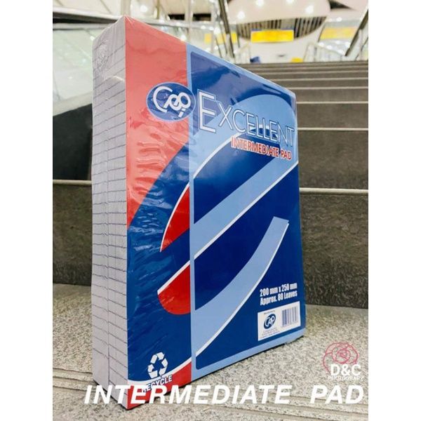 INTERMEDIATE PADWHOLE PAD (10 PADS) | Lazada PH