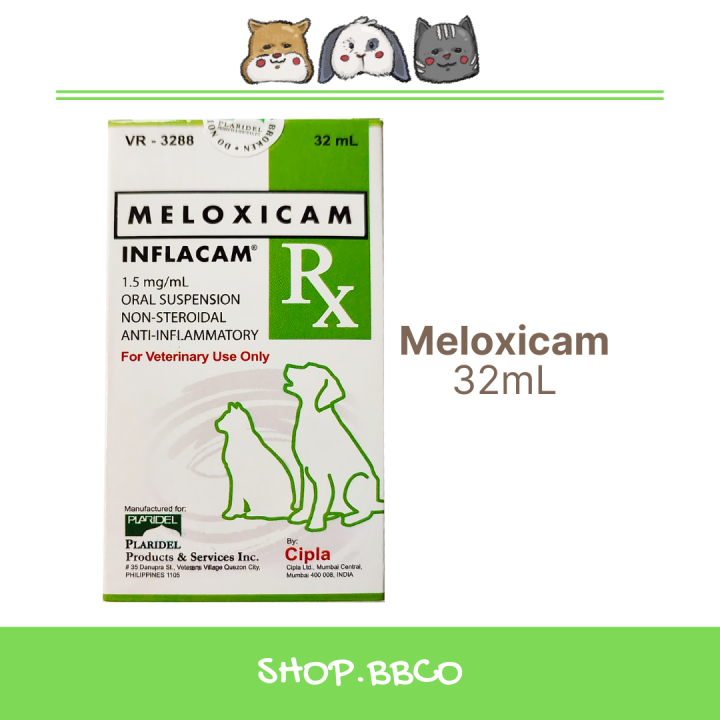 Meloxicam (Inflacam) 1.5mg/mL - 32 mL | Lazada PH