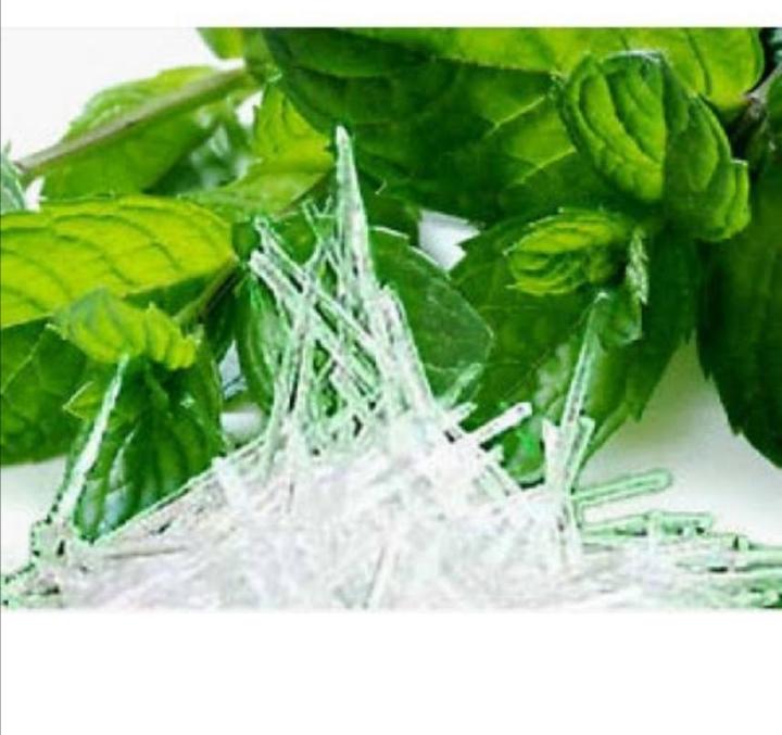 Menthol Crystal 1kilo/500g | Lazada PH